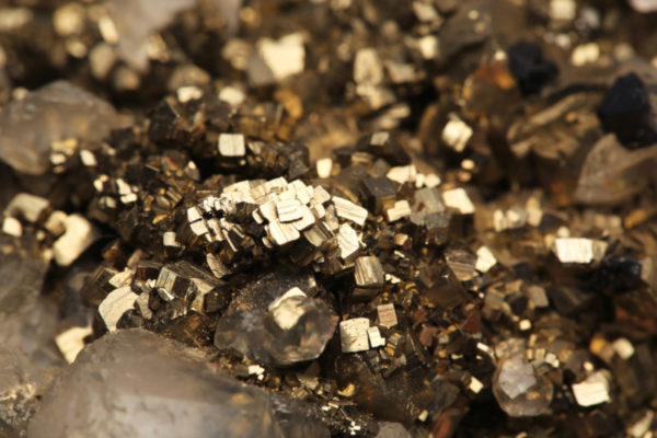 How to set a fire with a flintstone? - Prehistory - Curiokids