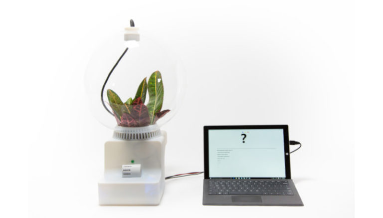 Science and heritage, science is everywhere - Curiokids