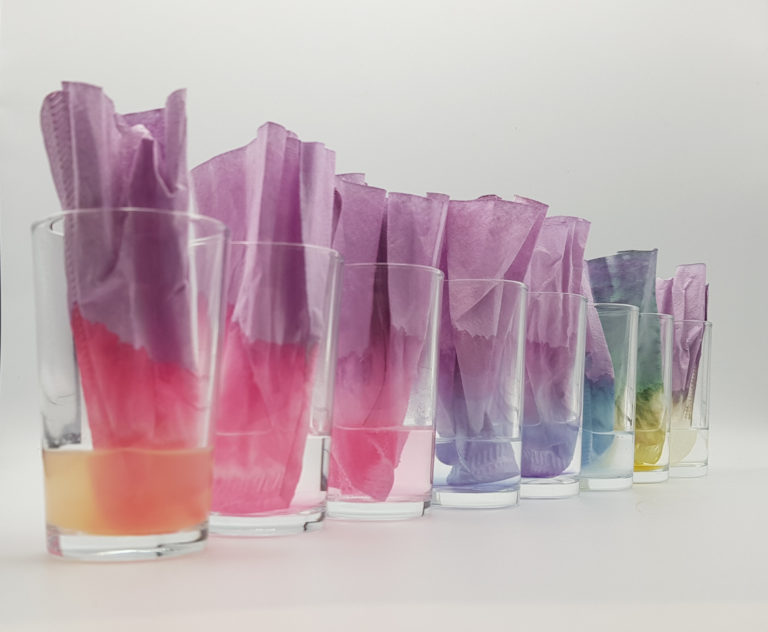 1001 couleurs de chou rouge - Curiokids pour comprendre le pH